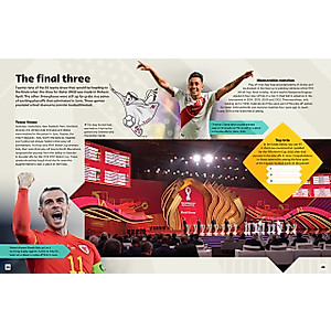 FIFA World Cup 2022 Fact File