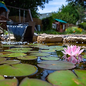 Aquascape Pond Filter and Waterfall Spillway, Efficient Mechanical and Biological Filtration, Compact | 77020,Black