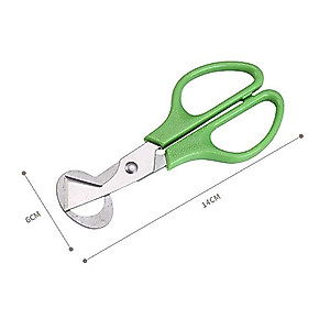 Stainless Steel Quail-Egg Cutter Scissors Kitchen Egg Shears Tool-4PCS