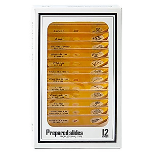 LINKMICRO 48pcs Prepared Plastic Microscopes Slides with 4 Types of Glass Biological Specimen for Kids Students