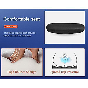 OffiClever Computer Ergonomic Chair Mesh Mid Back with Wheels Lumbar Support Armrest and Adjustable Executive for Men&Women, Black