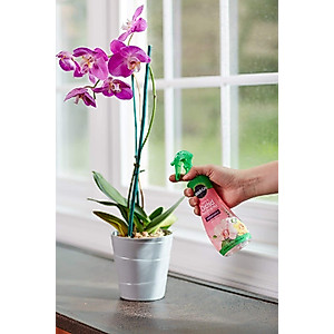 Miracle-Gro Orchid Plant Food Mist Rtu4