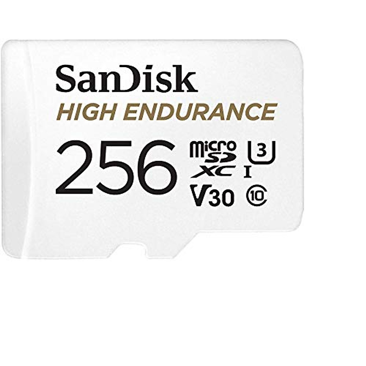 SanDisk High Endurance 256GB TF Card MicroSDXC Memory Card for Dash Cams & Home Security System Video Cameras (SDSQQNR-256G-AN6IA) Class 10 Bundle with (1) Everything But Stromboli MicroSD Card Reader