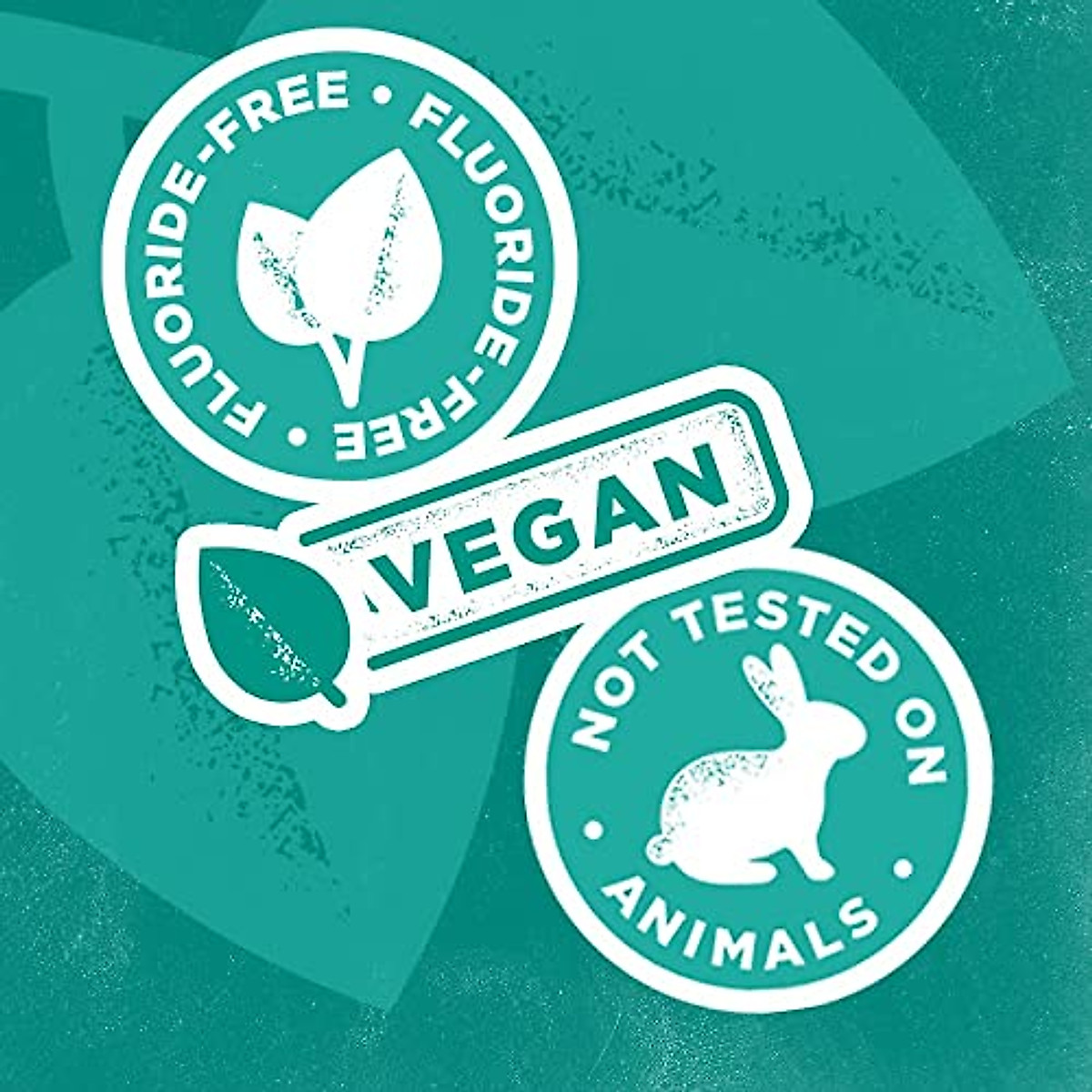 Activated Charcoal Toothpaste- Peppermint Fluoride Free Tom's Of Maine 4.7 oz Pa