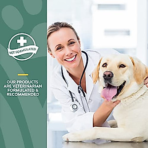 NaturVet – Glucosamine DS Plus - Level 2 Moderate Care – Supports Healthy Hip & Joint Function – Enhanced with Glucosamine, MSM & Chondroitin – for Dogs & Cats–120 Soft Chews