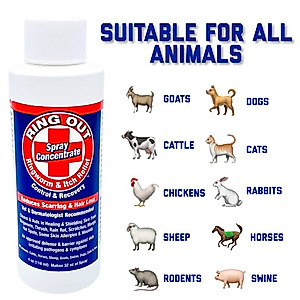 Ring Out - Control and Help Ringworm for Cats, Dogs, Sheep, Goats, Cattle, Horses, all Pets and Livestock makes 32 oz. of Spray
