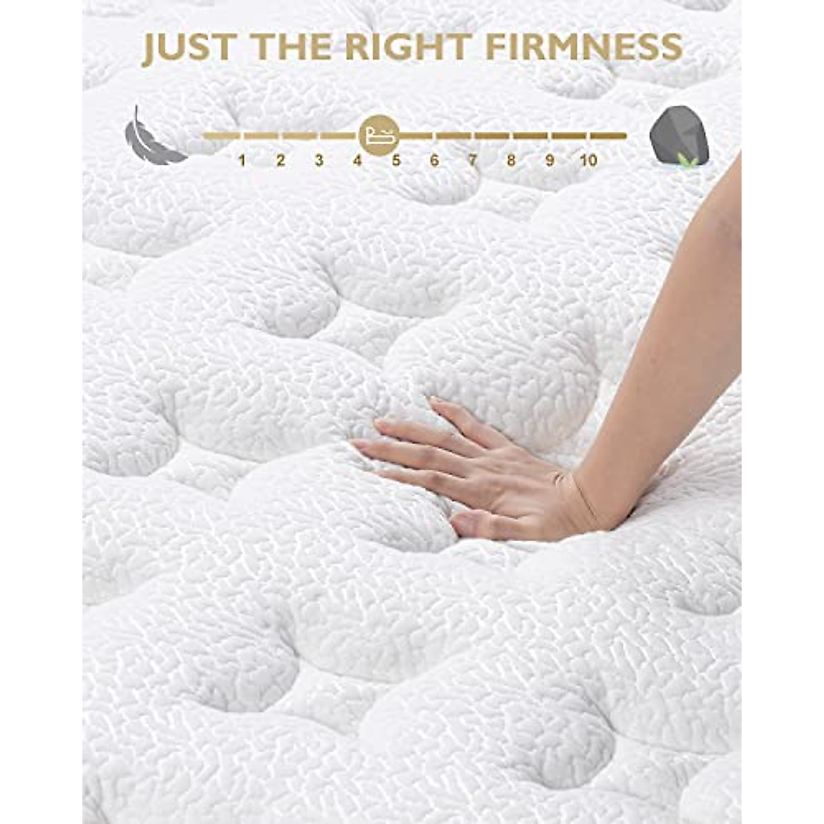BedStory Queen Mattress - Made in USA - 14 Inch Hybrid Mattress Medium Feel, Individually Wrapped Coils for Pressure Relief & Motion Isolation, 80”x60”x14”