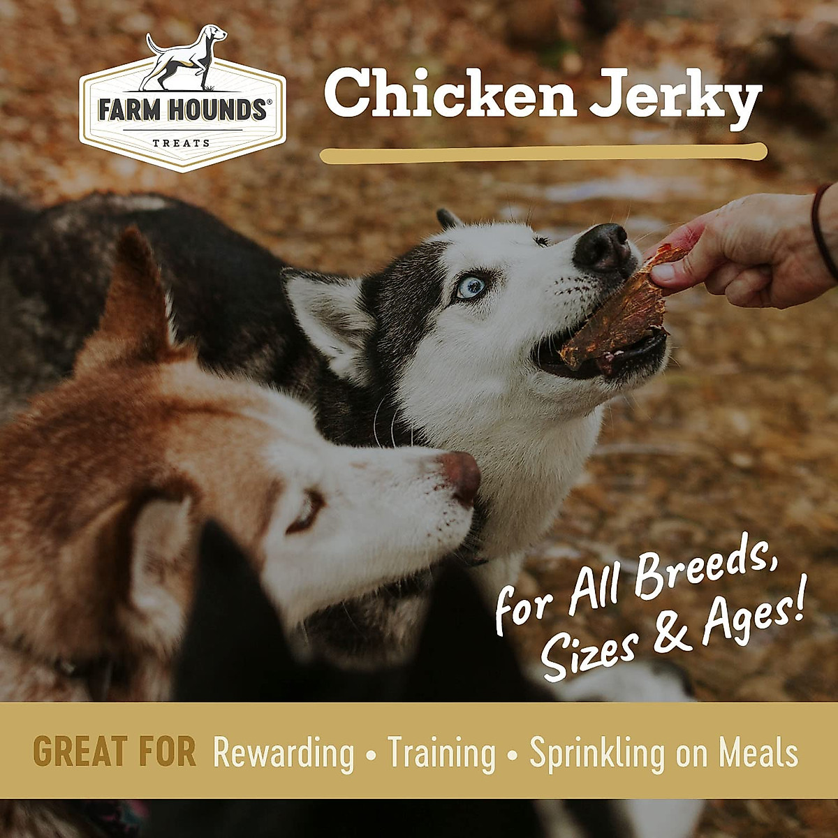 Farm Hounds - Chicken Jerky - Premium Natural Chicken Jerky For Dogs - From 100% Humanely Raised Chicken - Break-To-Size - Great For Training & Treats - No Added Fillers - Made in USA - 3.5 oz -1 Pack