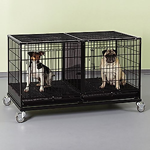 Pro Select Steel Modular Cage with Plastic Tray, Black