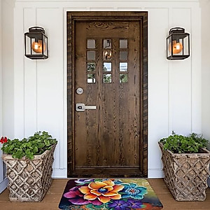 Flower Diamond Painting Print Bathroom Rugs Soft Flannel Area Rug Non-Slip Bath Rug Welcome Door Mat Carpet for Living Room Bedroom Outdoor 24 x 16 in