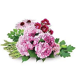 Jobe's 09365 Additive De-Acidifier, 6 lb, Lime Soil