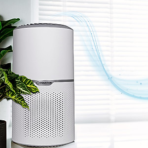 Equator HEPA Air Purifier with PET Option 269sf 110V