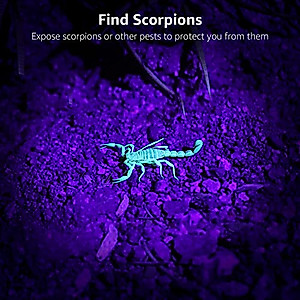 Lighting EVER Black Light Flashlight, Small UV Lights 395nm, Portable Ultraviolet Light Detector for Invisible Ink Pens, Dog Cat Pet Urine Stain, AAA Batteries Included