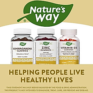 Nature’s Way Zinc Gummies, Supports Immune Function*, 11 mg per Gummy, Mixed Berry Flavored, 120 Gummies