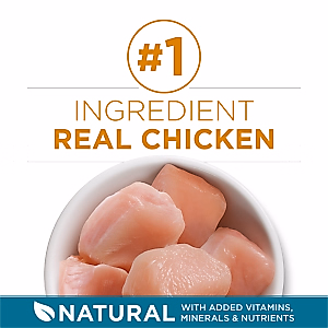 Purina ONE Natural Dry Cat Food, Tender Selects Blend With Real Chicken - 16 Lb. Bag