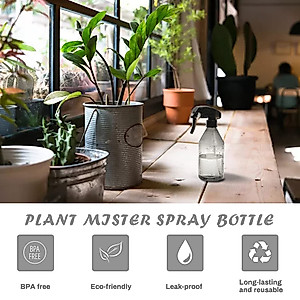 AORAKI Plant Mister Water Spray Bottle - Fine Mist Spray Bottle for Flowers, Plants, Gardening, Cleaning Solutions - 10oz, Plastic