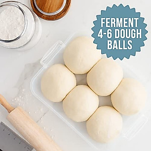 Chef Pomodoro Pizza Dough Proofing Box, 14 x 11-Inch, Pizza Dough Container, Fits 4-6 Dough Balls, Household Pizza Dough Tray With Convenient Carry Handle (Blue)