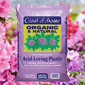 Coast of Maine, 20qt (Pack of 2) Organic and Natural Planting Soil for Acid-Loving Plants - Rhodys, Azaleas, Ferns, Hydrangeas & Berries
