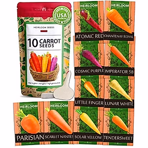 10 Heirloom Carrot Seeds - 2500+ Rainbow Carrot Seeds - High Germinating Vegetable Seeds Sourced in USA - Carrot Seeds for Planting Indoors or Outdoors Home Garden