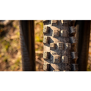 Schwalbe Unisex's Big Betty Perf, BikePark Tyres, Black, 62-622