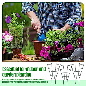 Zhehao 10 Pack Indoor Plant Trellis for Potted Plants Climbing, Outdoor Metal Garden Trellis Houseplants Patio Plant Support for Outdoor Plants Trellis for Rose, Fan Shape, Green (16 Inches High)