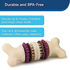 PetSafe Busy Buddy Bristle Bone - Treat-Holding Toy for Dogs - Treat Rings Included - Treats Thoroughly Mixed During Bake to Prevent Choking - Rigorously Tested Ingredients - Purple, Medium