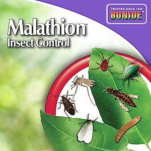 Bonide Malathion Insect Control, 16 oz Ready-to-Mix Concentrate Bug & Spider Mite Killer for Outdoor Garden Use