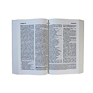 La Biblia Católica: Tamaño grande, Edición letra grande. Rústica, azul, con Virgen