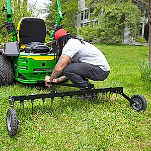Brinly DT-480BH-A 48" Tow Behind Grass Dethatcher, Removes Thatch from Large Lawns in Less Time