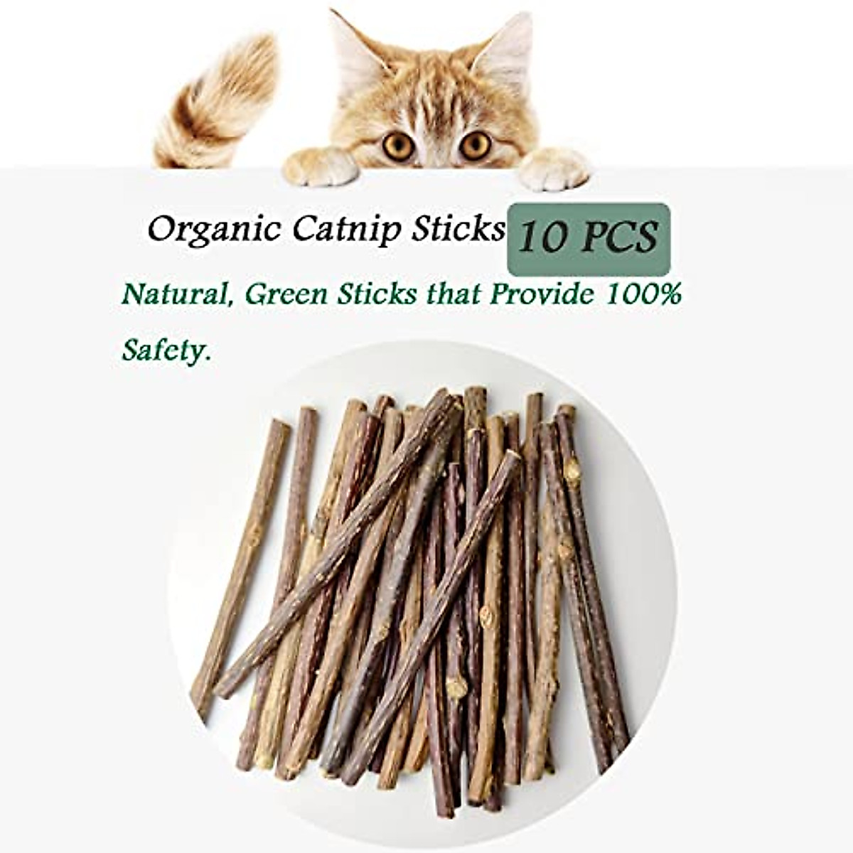 10 PCS Catnip Sticks Organic Cat Chew Toys Natural Plant Matatabi Silvervine Chew Sticks Cat Teeth Cleaning Chew Toy Cat Kitten Kitty 1