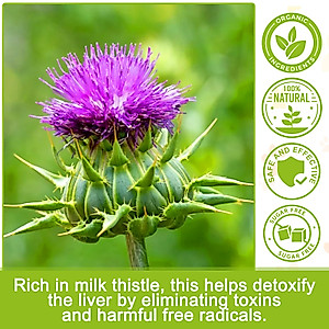 Milk Thistle for Dogs - Milk Thistle Supplement Tablets with EPA & DHA for Dogs Supports Liver Health and Kidney Function, Boosts Immune System, Dog Herbal Supplement Treats - 180 Chewable Tablets