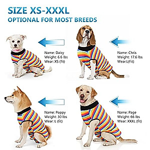 Pawcomon Dog Onesie After Surgery Recovery Suits Puppy Surgical Pajamas Cat Clothes for Male Female Small Medium Dogs Bodysuit