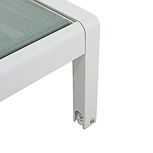 Christopher Knight Home Vanessa Coral Outdoor Chaise Lounges (Set of 2), Green and White