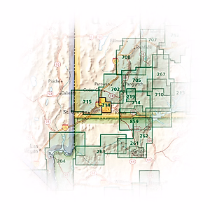 Zion National Park Map (National Geographic Trails Illustrated Map, 214)