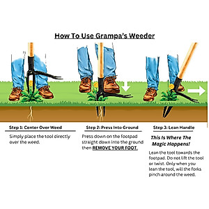 Grampa's Weeder - The Original Stand Up Weed Puller Tool with Long Handle - Made with Real Bamboo & 4-Claw Steel Head Design - Easily Remove Weeds Without Bending, Pulling, or Kneeling