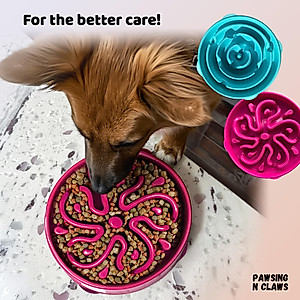 Pawsing N Claws Slow Feeder Dog Bowl - Anti-Choking & Non Slip Interactive Dog Feeding Bowls for Dry/Wet Food That Slow Down Eating Dog Bowl - Maze Puzzle Design Bowl - Large (Purple)