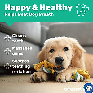 AMZpets 10 Dog Toys for Small Dogs and Puppies, Squeaky Dog Toys Rope Toys for Plush Games, with Chewing Ropes/Balls/Rubber Bone/Carry Bag, Variety Playing Toys Set for Toss and Tug Play