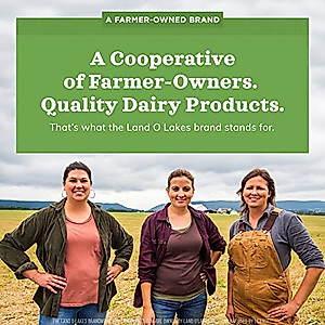 Land O' Lakes Half and Half UHT-Processed Creamer, 24 Count