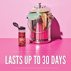 Aunt Fannie's Bundle: Houseplant & Garden Insect Remedy + FlyPunch Fruit Fly Trap