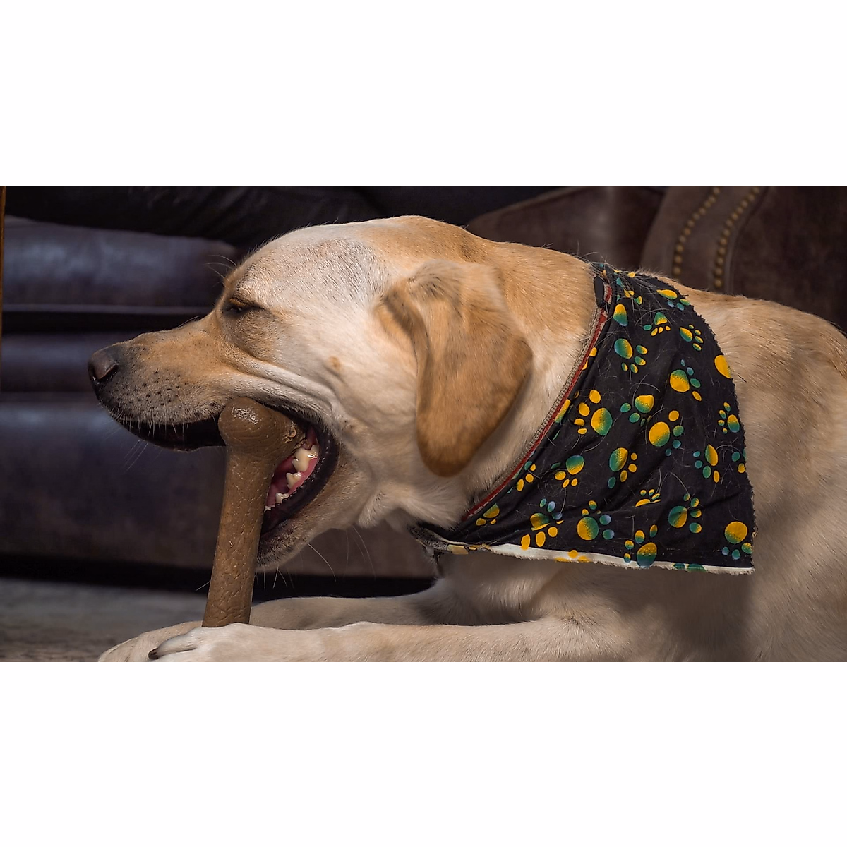 HERO | Bonetics | Dog Bones | Puppy Bones | Designed for Large Dogs Up to 65 lbs (Beef Flavor)