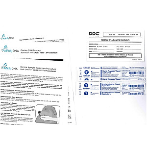 AffinityDNA Dog Multidrug Resistance 1 (MDR1) DNA Test Kit | Home Sample Collection Kit for 1 Canine | Puppy MDR1 Testing Kits | Results in 7 Working Days | A Complete Kit with No Extra Fees