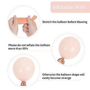 RUBFAC 129pcs Pastel Orange Balloons Latex Peach Balloons Different Sizes 18 12 10 5 Inch Pale Orange Balloon Garland Arch for Party Decoration Birthday Gender Reveal Wedding Anniversary Supplies