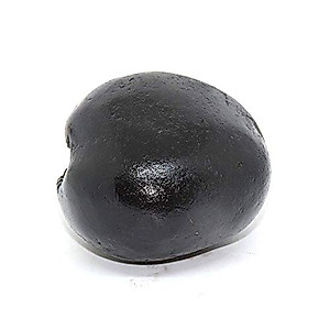 RUDRADIVINE Stone Laxmi Narayan Shaligram (Black)