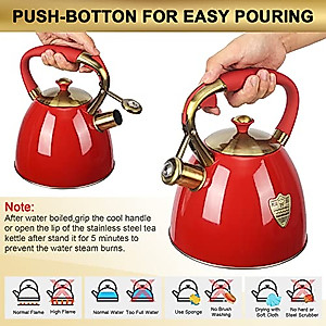 Tea Kettle -2.9 Quart Tea Kettles Stovetop Whistling Teapot Stainless Steel Tea Pots for Stove Top Whistle Tea Pot