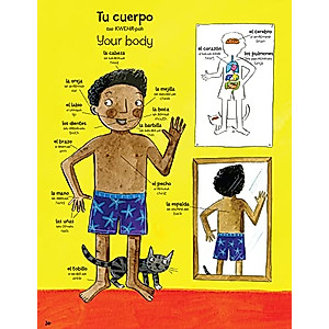 My First 1000 Spanish Words, New Edition: A Search-and-Find Book (Happy Fox Books) Seek-and-Find Adventure and Foreign Language Learning Guide - Spanish Word Association and Pronunciation for Kids 3-5