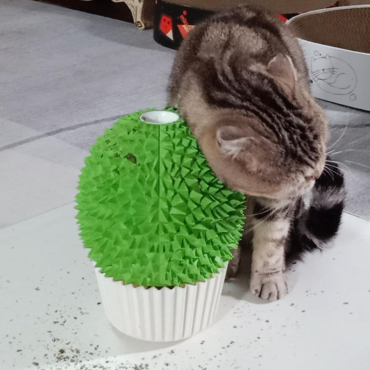 Miwoowim Catnip Feeder - Cat Face Scratcher Wall Corner Massage Comb for Indoor Cats Self Grooming Brush (Green)