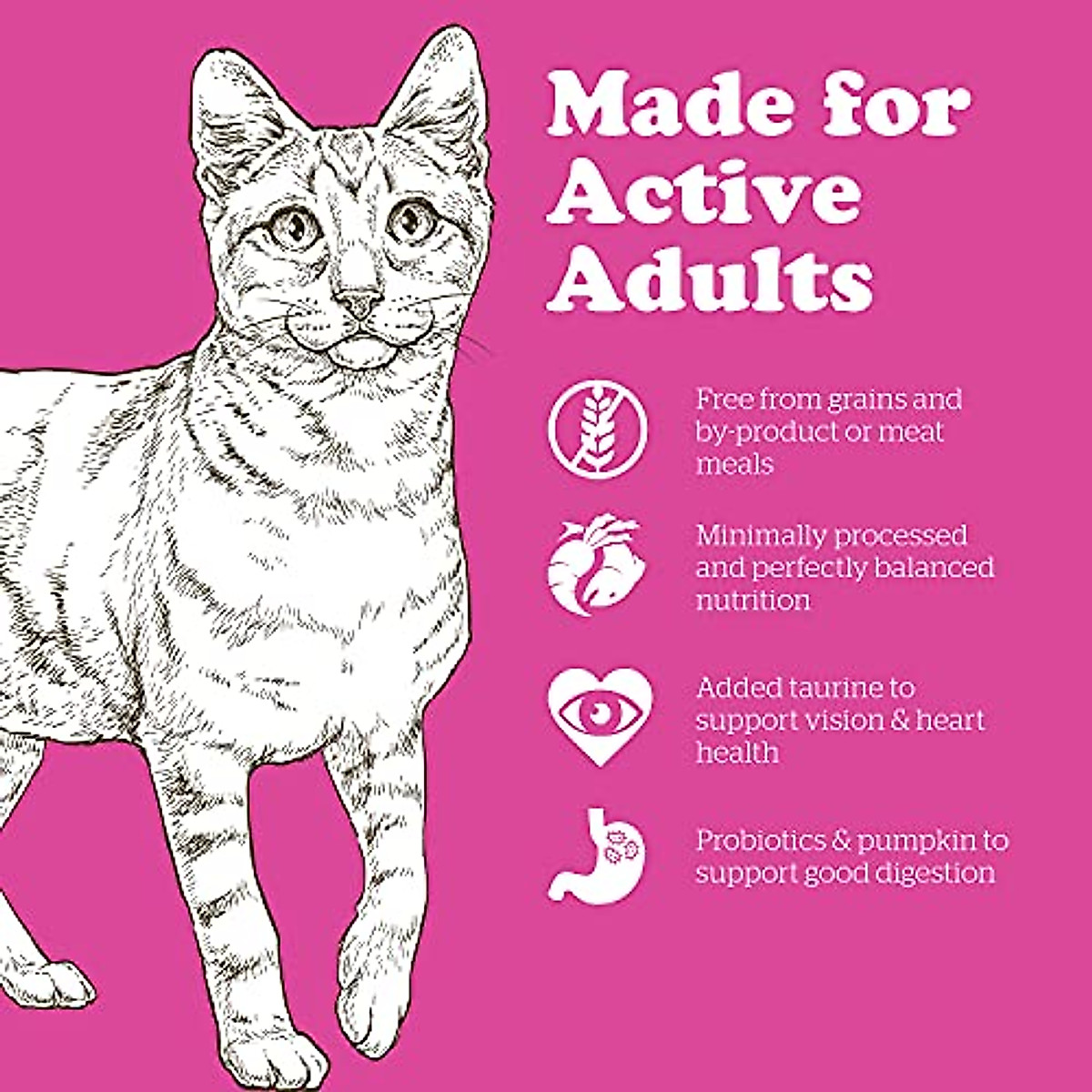 Now Fresh Dry Cat Food, Turkey, Salmon and Duck Recipe, 16 lbs - Grain Free Cat Food, Made with Real Meat and Fish