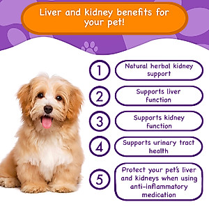 PawPuk Paws Liver & Kidney Vitamins Supplements for Dogs, SAM-E & Silymarin - Liver Function, NMN & CoQ10 - Anti-Aging, Rehmannia & Rhubarb - Natural Herbal Kidney Support, Cranberry - UT Health