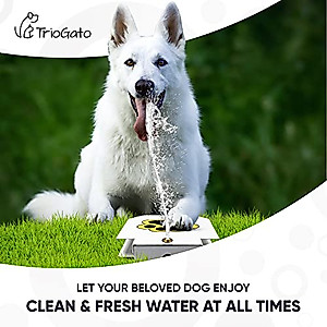 Dog Outdoor Dog Drinking Water Fountain Step On, Easy Paw Activated Drinking Pet Dispenser, Provides Fresh Water, Sturdy, Easy to Use by Trio Gato