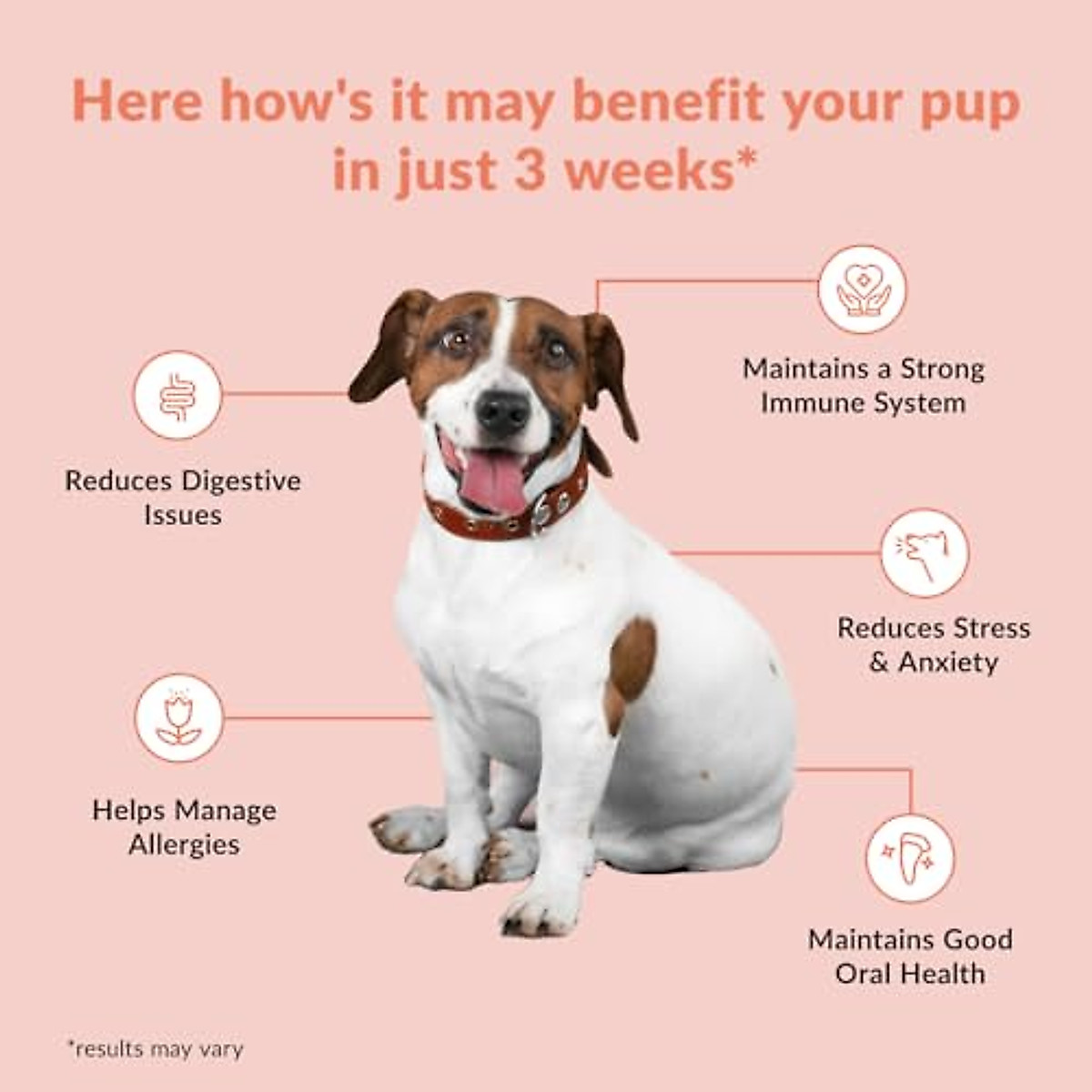 Wuffes Digestive Probiotics for Dogs - Probiotic Chews for Dogs for Itching - Dog Health Pet Supplies - Dog Vitamins and Supplements - 30 Probiotic Dog Chews & Digestive Enzymes for Itchy Skin & Gut